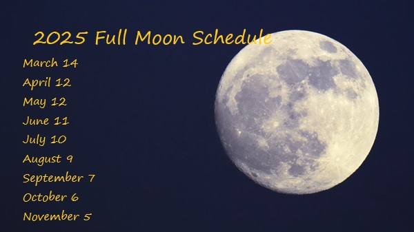 Full Moon - Yoga at Cherry Grove Beach